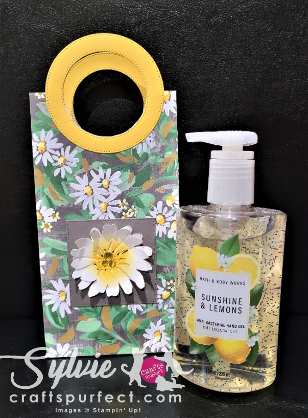 Facebook Live- DSP Gift Bags - Welcome to Crafts Purfect
